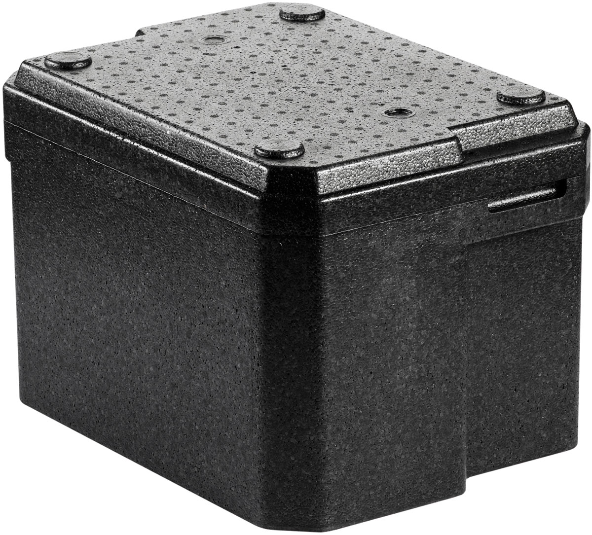 Thermo Box 1/2 GN 450 x 330 x 300 mm Black, 1 pcs/box (1 x 1 pcs ...