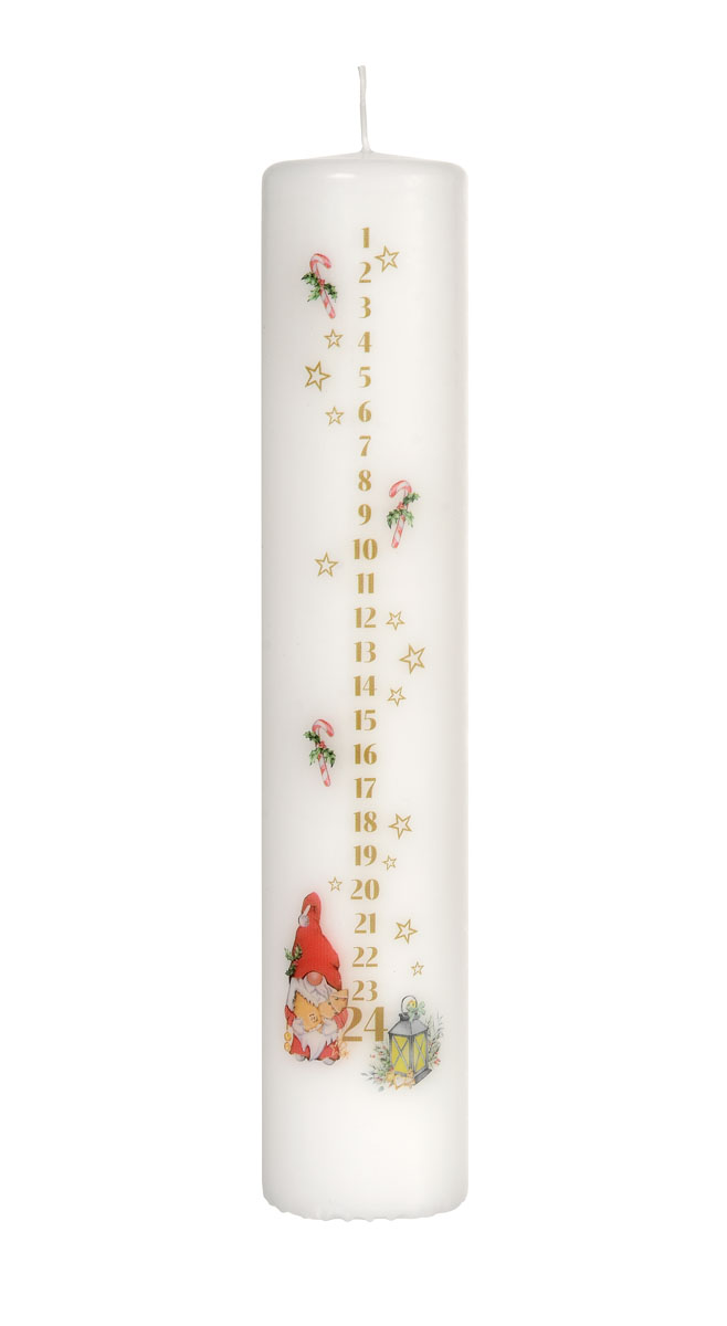 Pillar Candle 50 x 250mm 62 h White, 12 pcs/box (12 x 1 pcs) | Duni Global