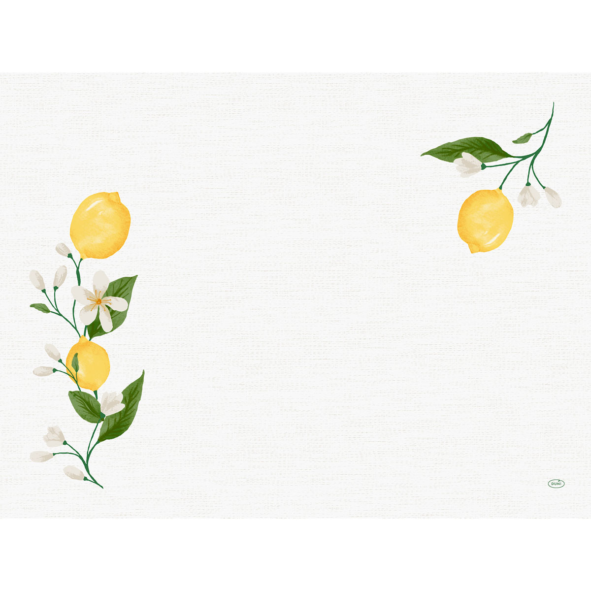 Paper Placemat 30 x 40 cm Lemon Fiesta, 1000 pcs/box (4 x 250 pcs) | at ...