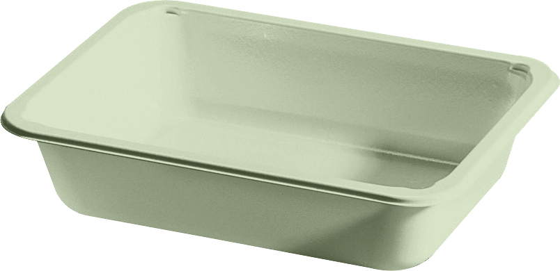 Small Portion Tray 171 x 127 x 35 mm Green 1-Comp, 900 pcs/box (1 x 900 ...