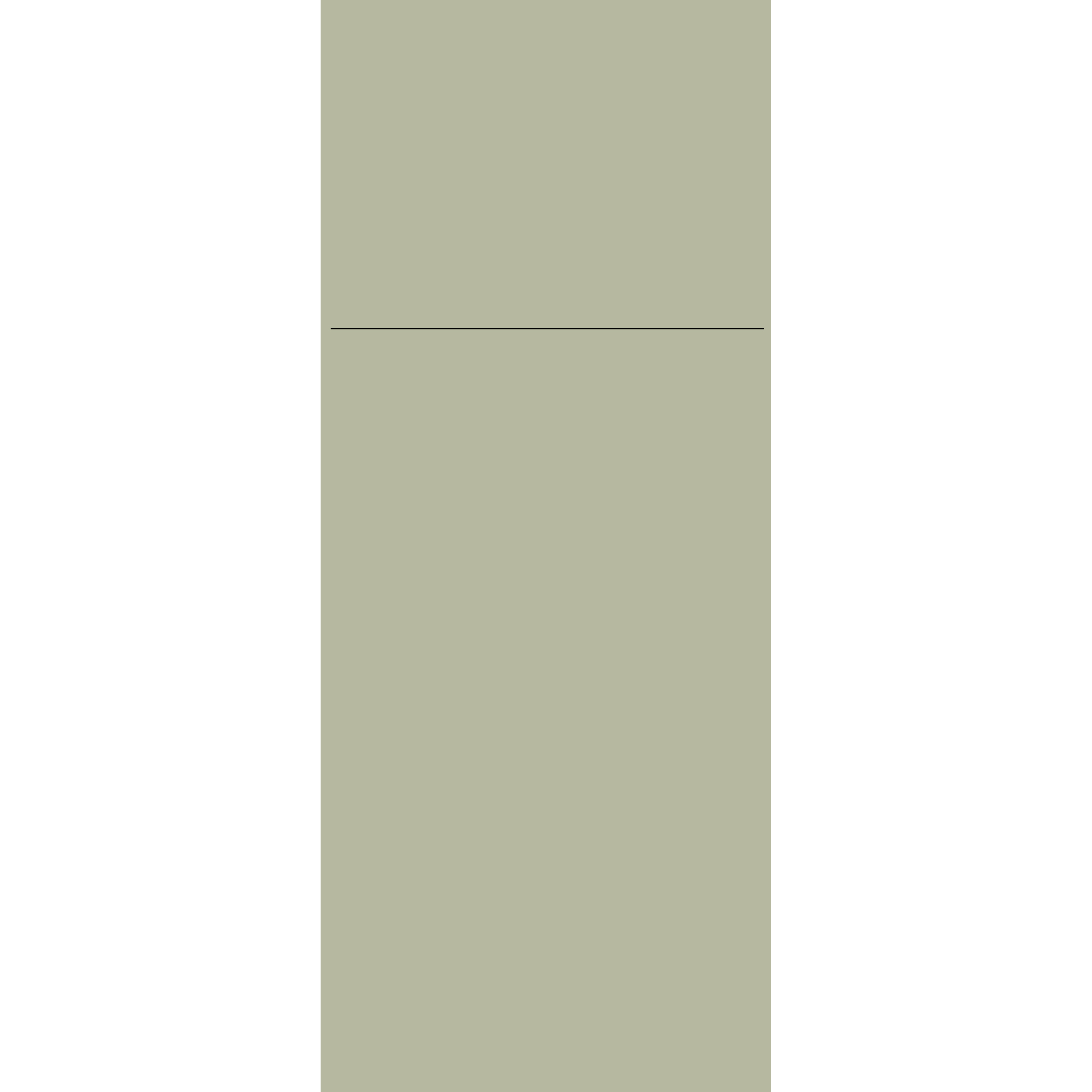 Dunilin® Napkin 40 x 48 cm Pistachio Green, 184 pcs/box (4 x 46 pcs ...