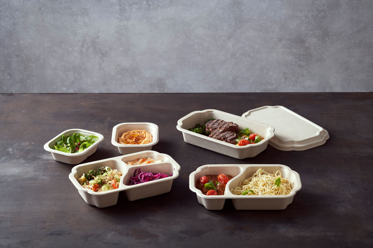 Take-Away Tray 250 x 159 x 45 mm Brown 2-Comp, 225 pcs/box (1 x 225 pcs ...