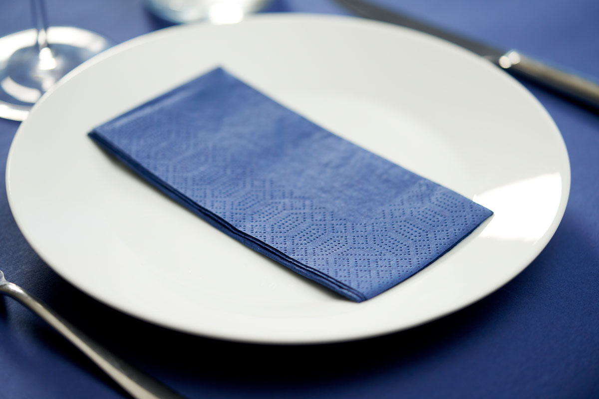 Tissue Napkin 33 x 33 cm Dark Blue 3-ply, 1250 pcs/box (5 x 250 pcs ...