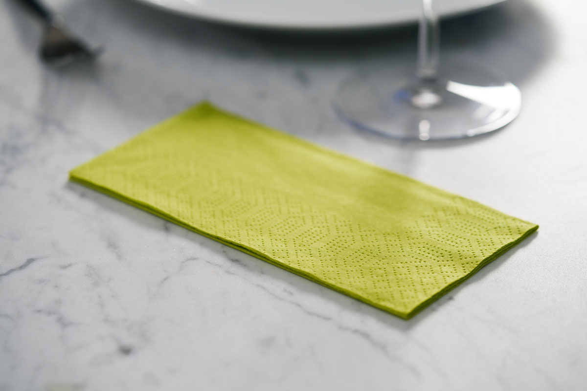 Tissue Napkin 33 x 33 cm Kiwi 2-ply, 1500 pcs/box (5 x 300 pcs) | at ...